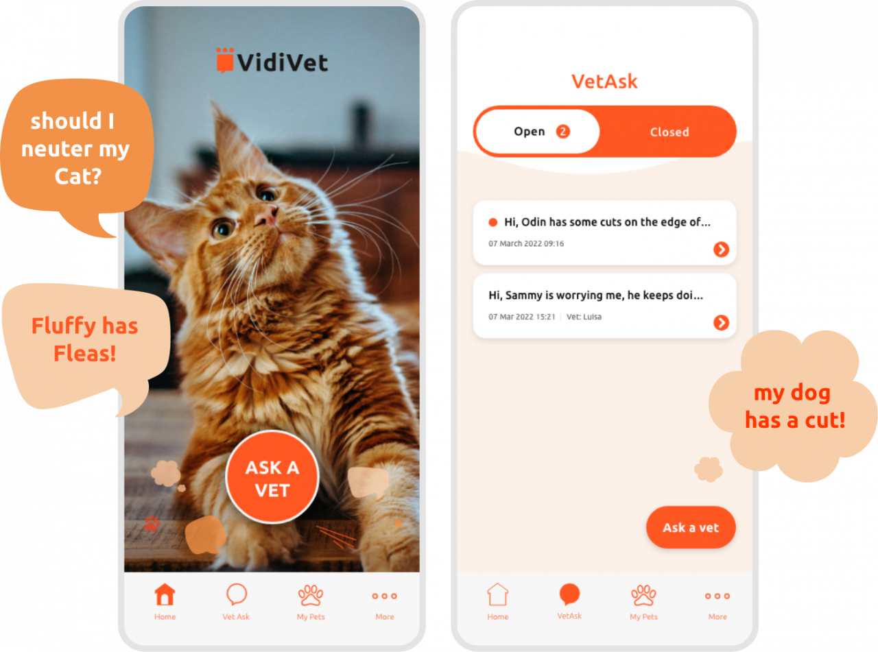 Need vet advice? VidiVet gives you answers in minutes | 24/7